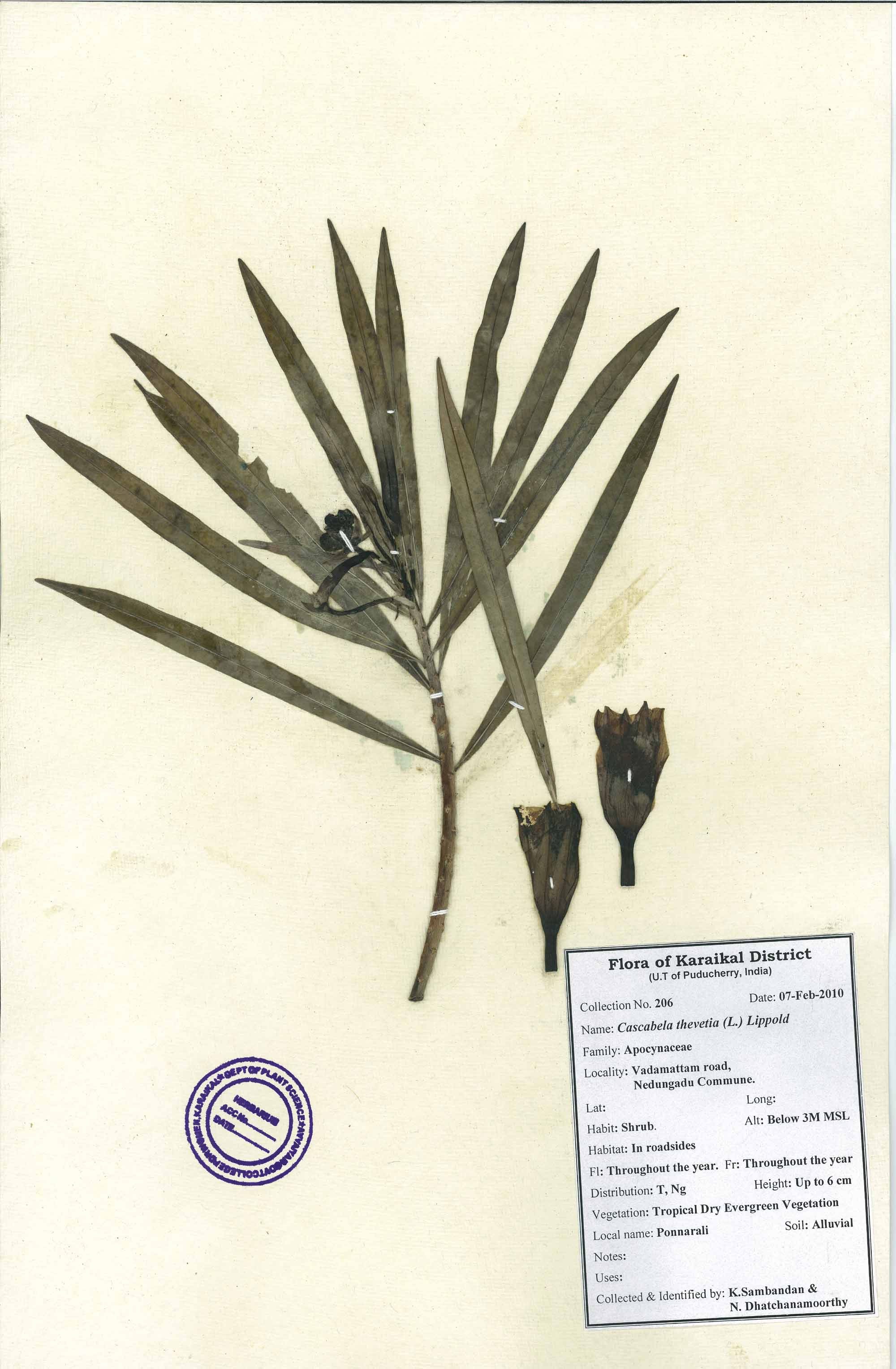 Plant Detail